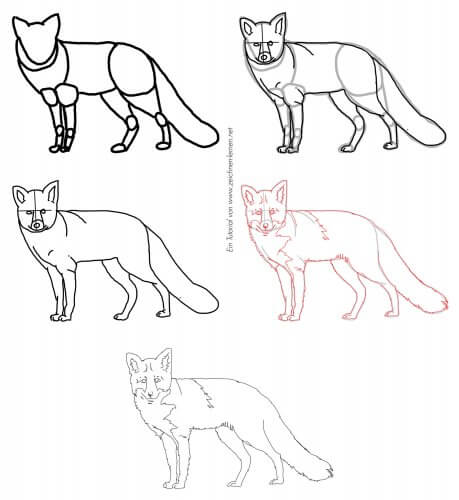 Fuchs zeichnen - Grundlagen und Beispieltutorials