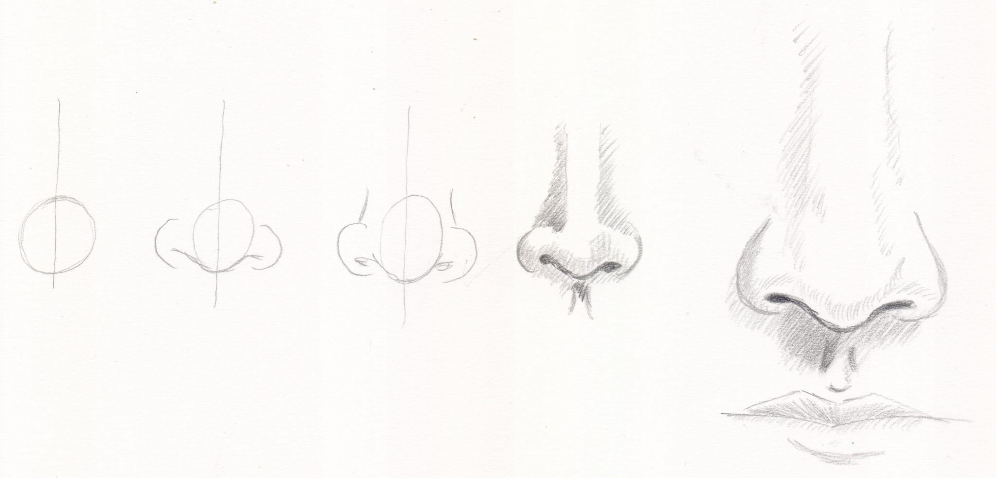 Apprendre à dessiner le nez - Pas à pas vers un nez réaliste
