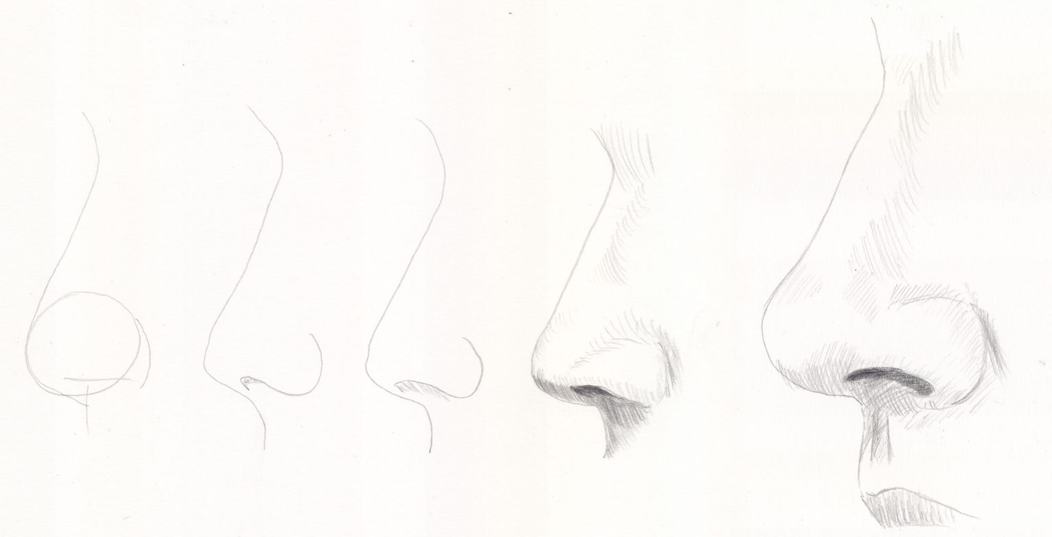 Learning to draw a nose - step by step to a realistic nose