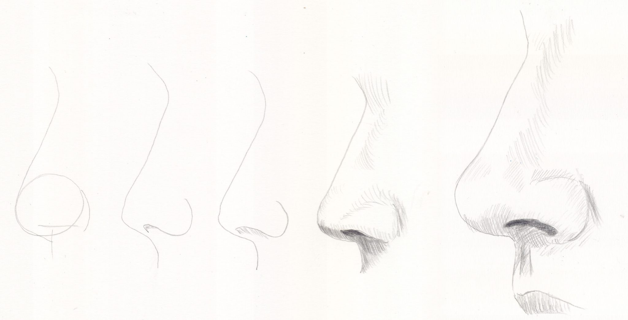 Apprendre à dessiner le nez - Pas à pas vers un nez réaliste