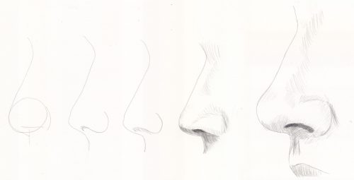 Apprendre à dessiner le nez - Pas à pas vers un nez réaliste