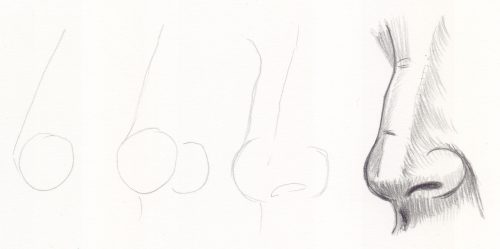 Learning to draw a nose - step by step to a realistic nose
