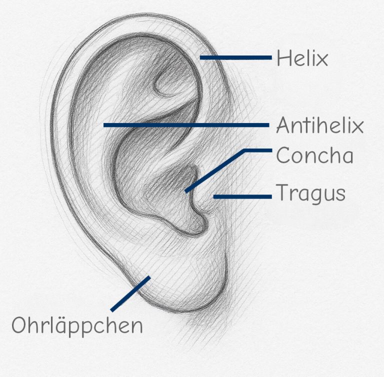 Menschliche Ohren zeichnen – Anleitung & Tipps für deine Skizzen