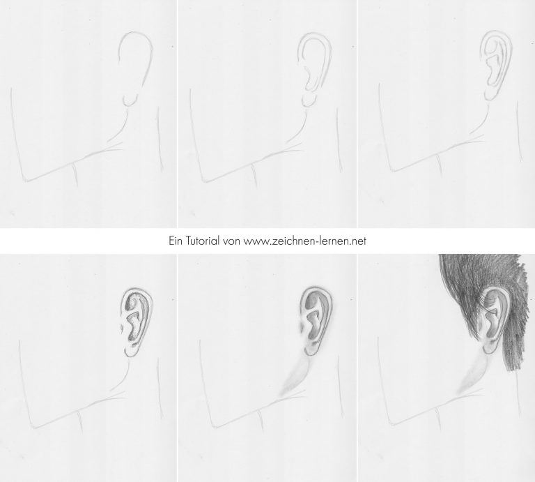 Drawing ears of people - instructions & tips for your sketches
