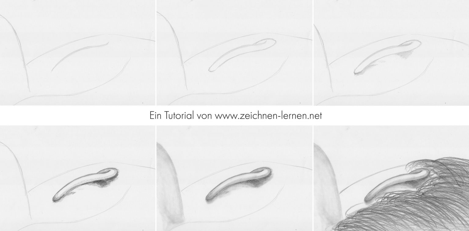 Drawing ears of people - instructions & tips for your sketches