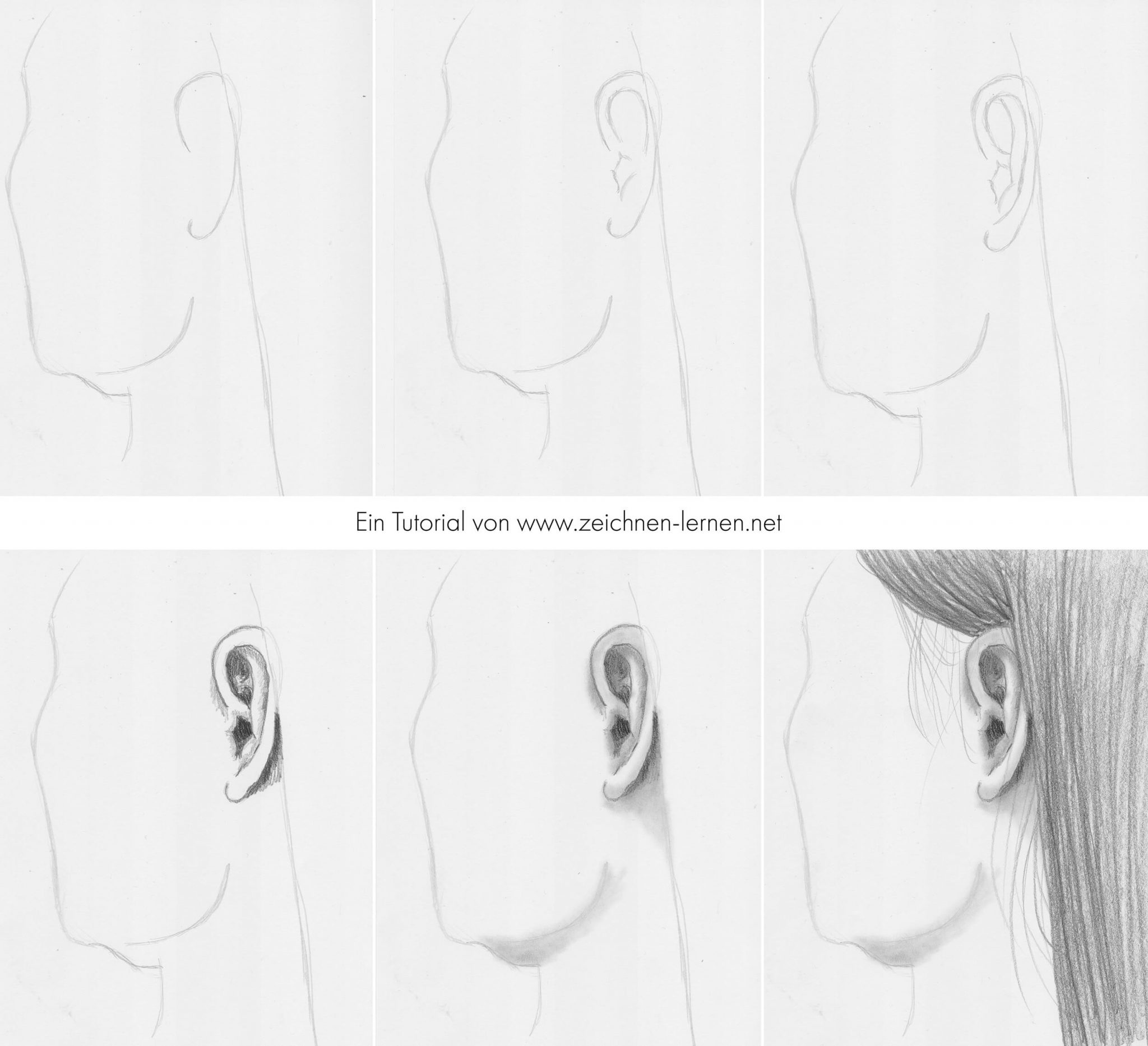 Dibujar orejas humanas - instrucciones y consejos para tus bocetos