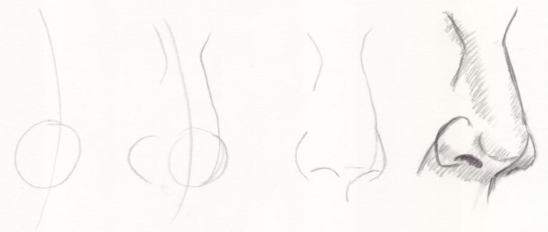 Nase zeichnen lernen – Schritt für Schritt zur realistischen Nase