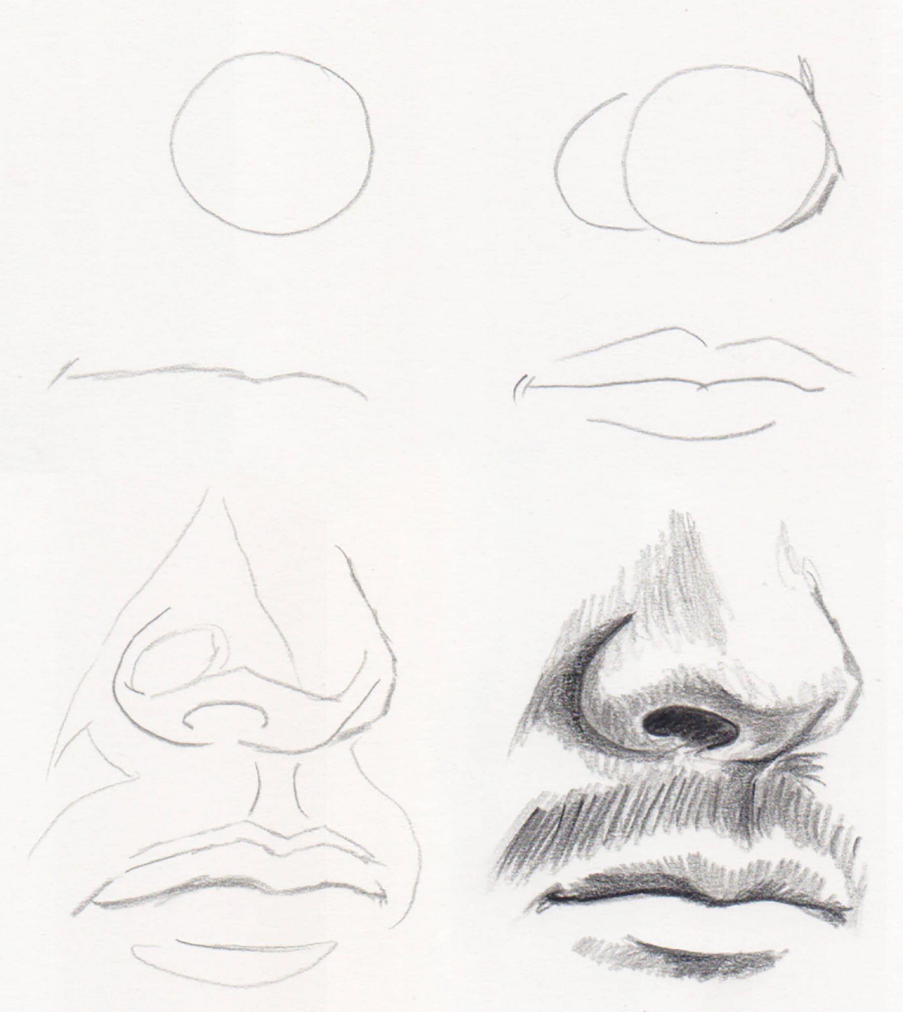 Learning to draw a mouth - step by step to a realistic mouth