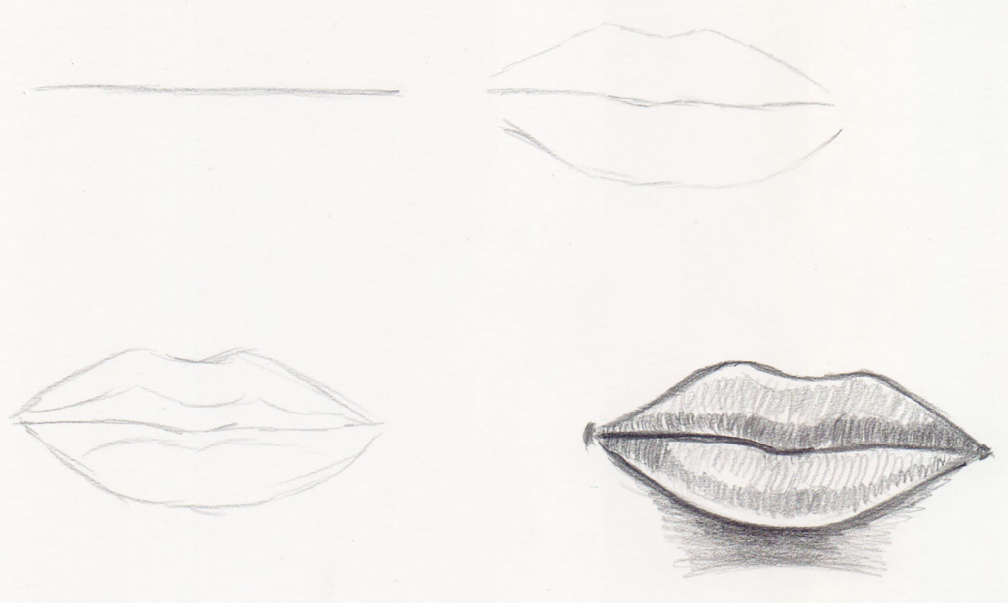 Apprendre à dessiner une bouche - Pas à pas vers une bouche