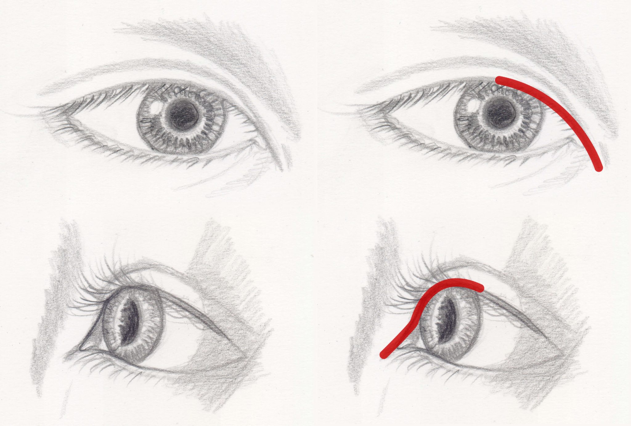 Comment dessiner des yeux - pas à pas pour des yeux réalistes